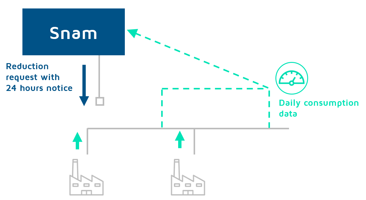 Natural Gas Interruptibility - Energy Team